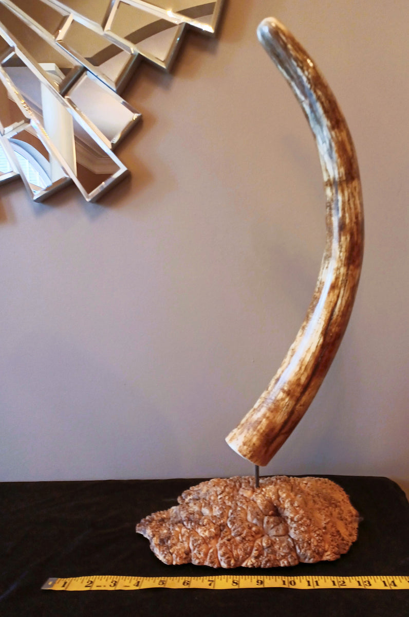 Fossil Alaskan Mammoth Tusk – Hagars Fossil and Minerals